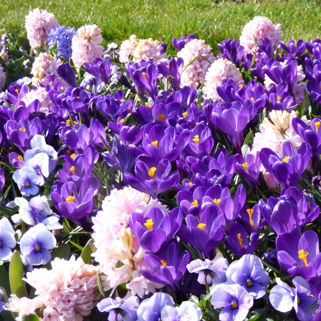 Zauberhafte Blumenbeet Ideen für den Frühling – Zirol