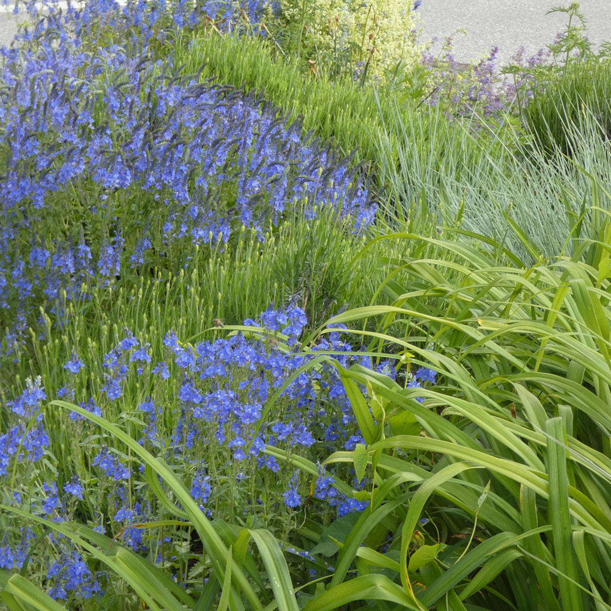 Zauberhafte Blumenbeet Ideen für den Frühling – Zirol