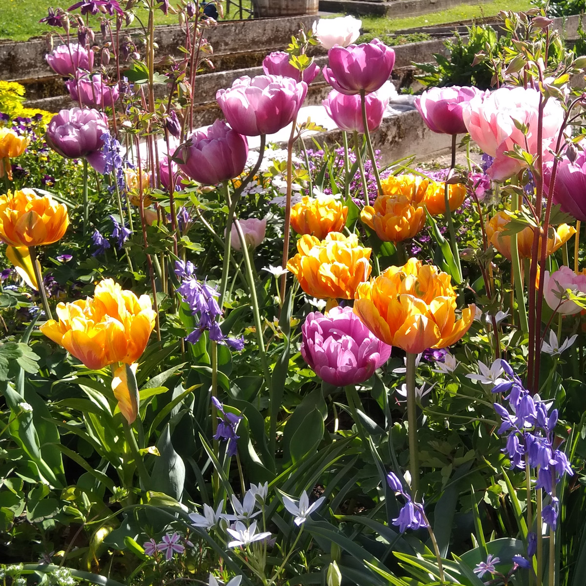 Zauberhafte Blumenbeet Ideen für den Frühling – Zirol