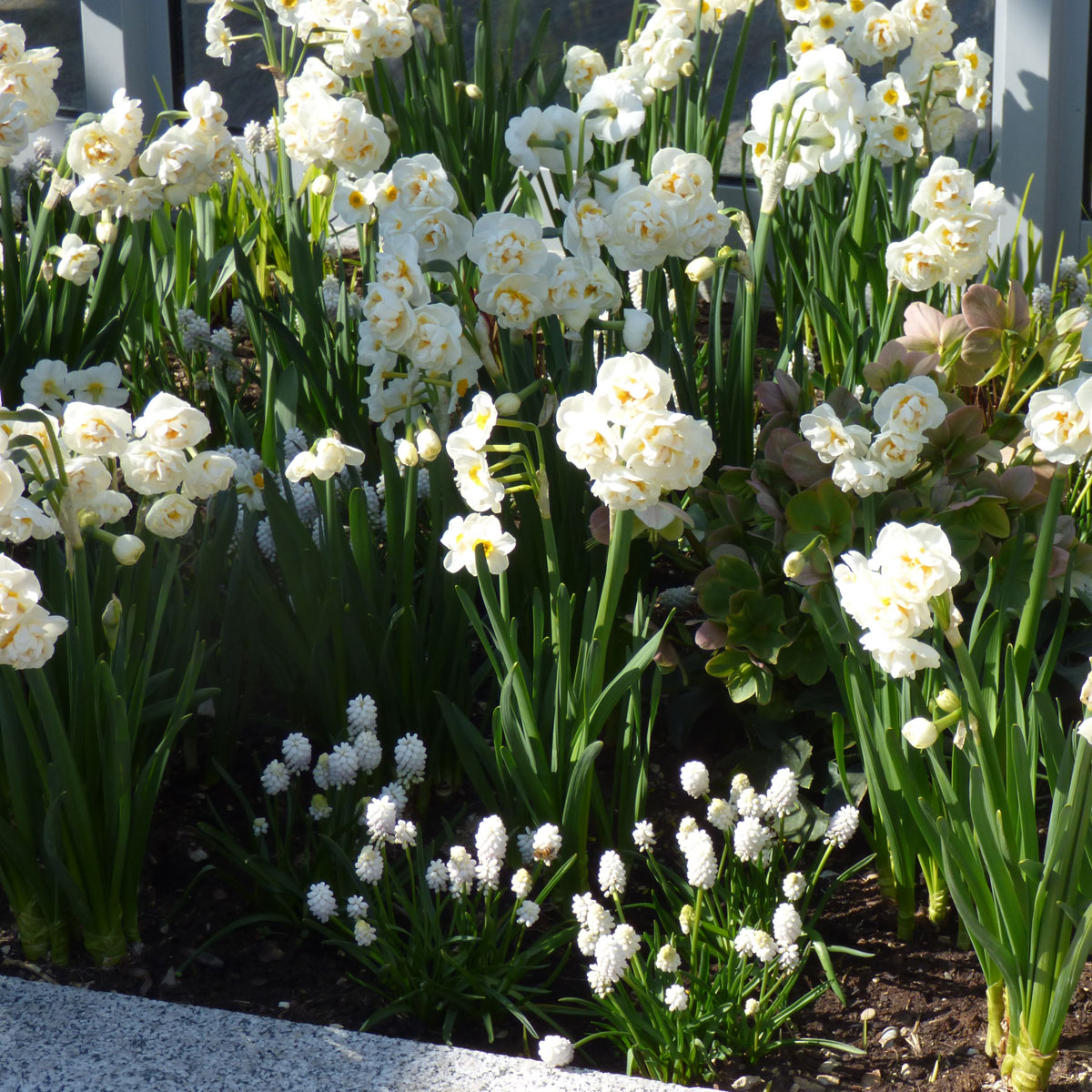 Zauberhafte Blumenbeet Ideen für den Frühling – Zirol
