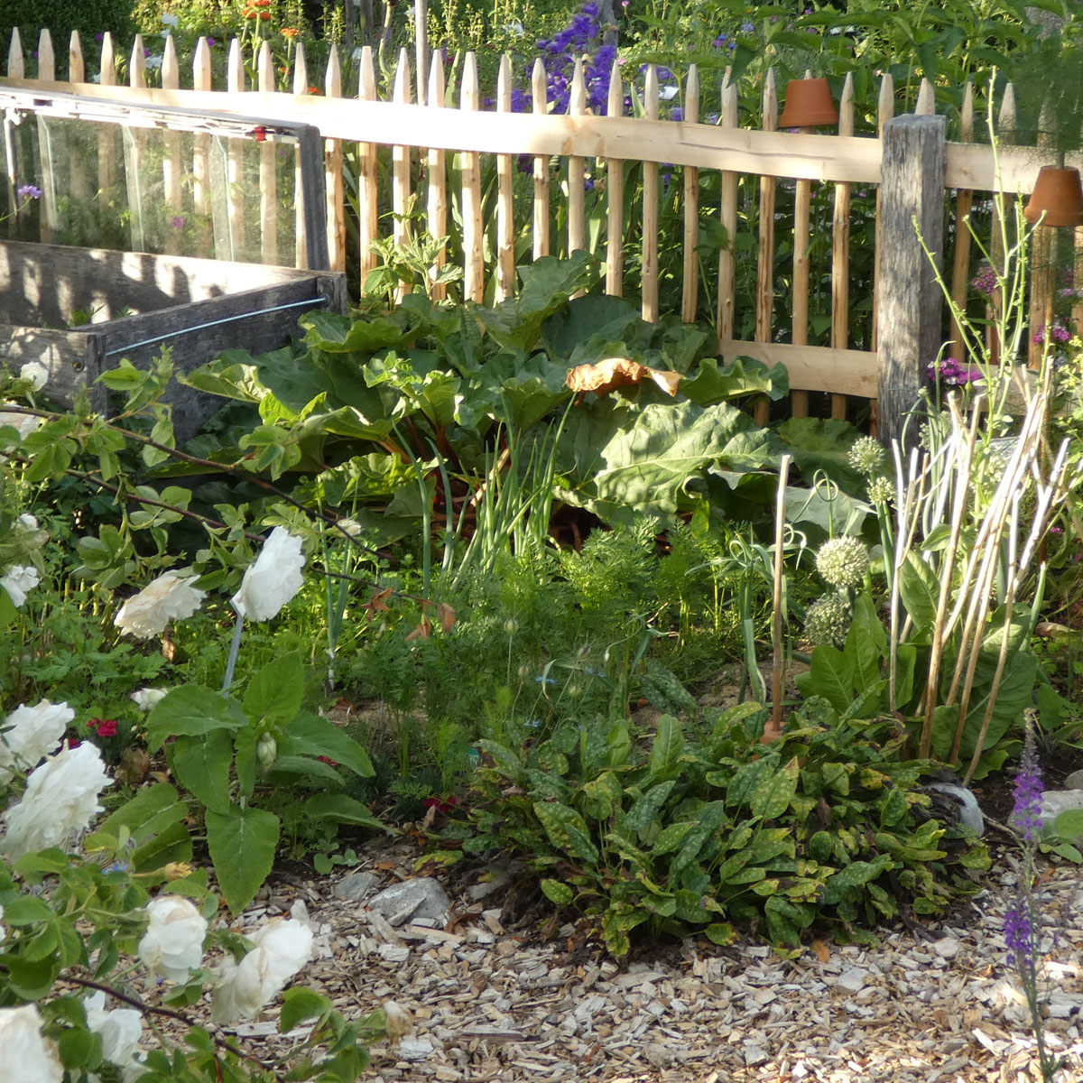 Der Spielgarten – einen Garten für Kinder gestalten - Zirol