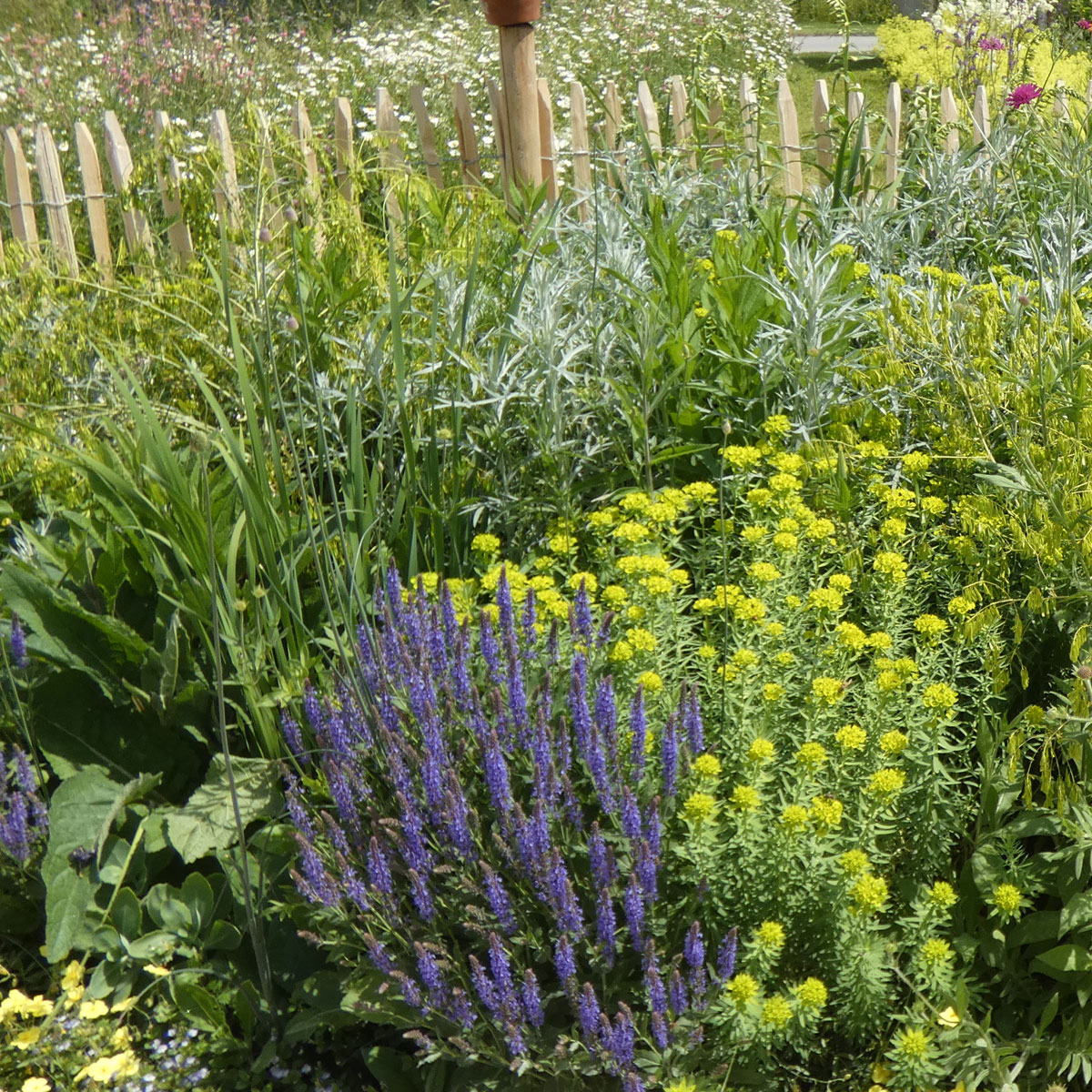 Warum einen Naturgarten anzulegen eine richtig gute Idee ist - Zirol