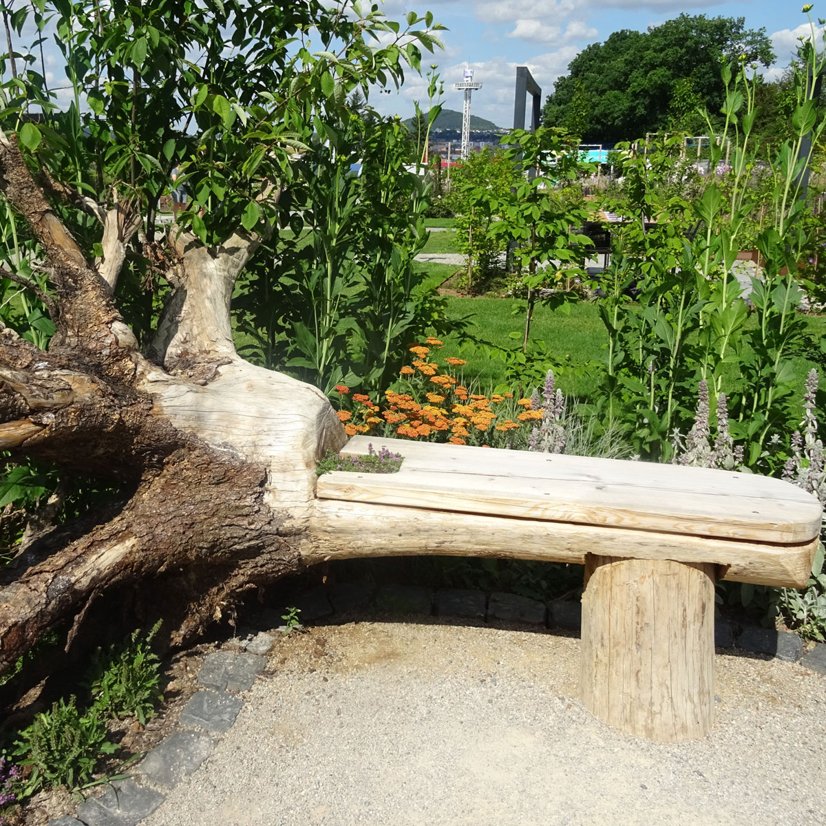 Natürlich und voller Leben: Kreative Ideen mit Totholz im Garten – Zirol