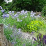 Bauerngarten modern gestalten: Die Verbindung von Tradition und ...