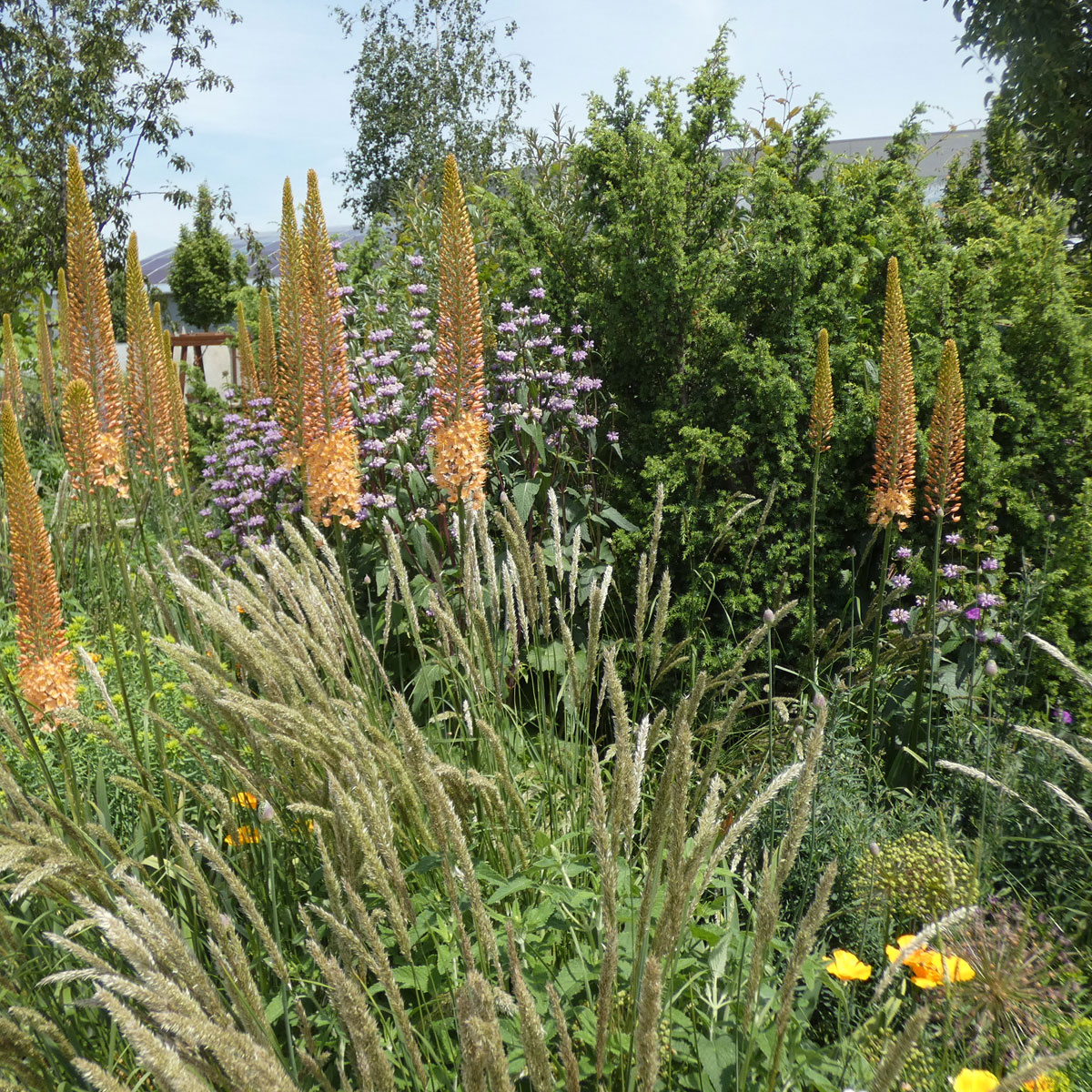 Bauerngarten modern gestalten: Die Verbindung von Tradition und ...