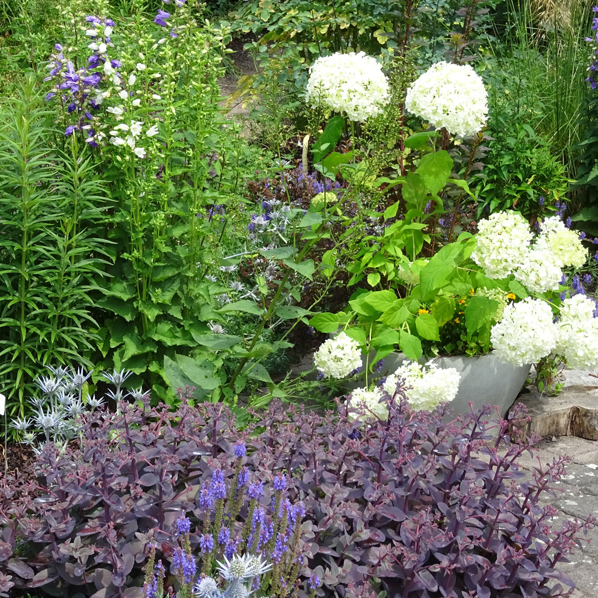 Bauerngarten modern gestalten: Die Verbindung von Tradition und ...