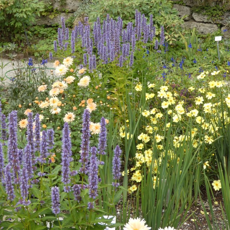Bauerngarten modern gestalten: Die Verbindung von Tradition und ...