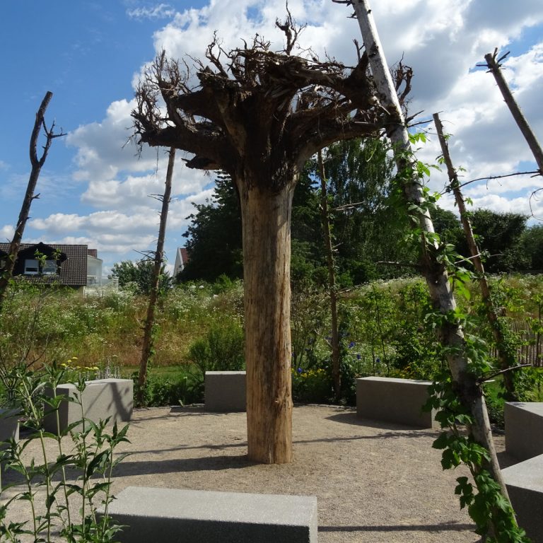 Natürlich und voller Leben: Kreative Ideen mit Totholz im Garten – Zirol