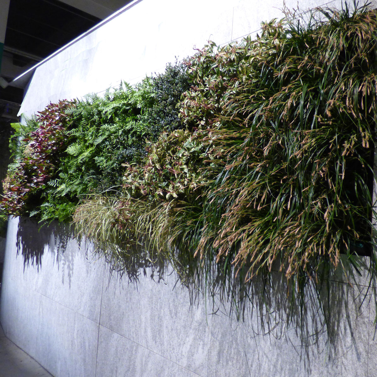 Vertikaler Garten: 12 tolle Gestaltungsideen - Zirol