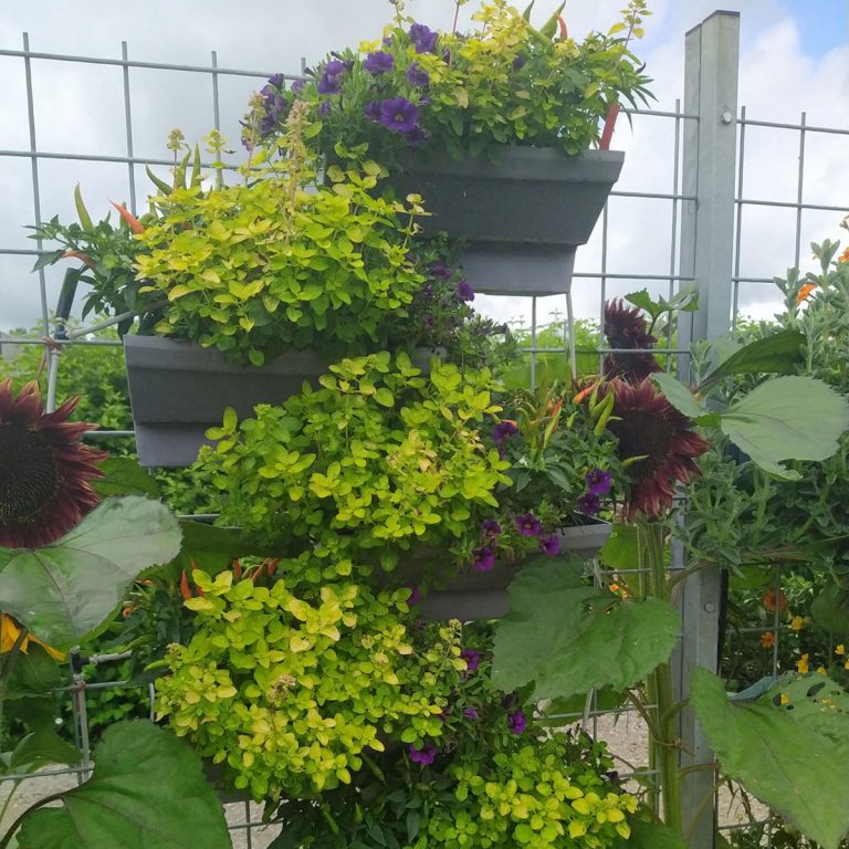 Vertikaler Garten: 12 tolle Gestaltungsideen - Zirol