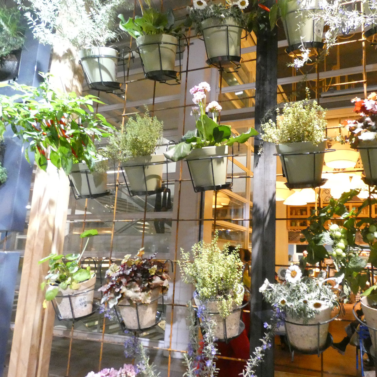 Vertikaler Garten: 12 tolle Gestaltungsideen - Zirol