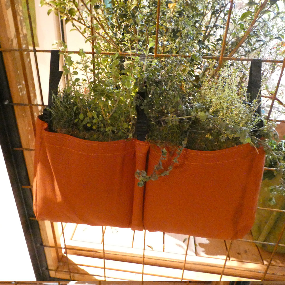 Vertikaler Garten: 12 tolle Gestaltungsideen - Zirol