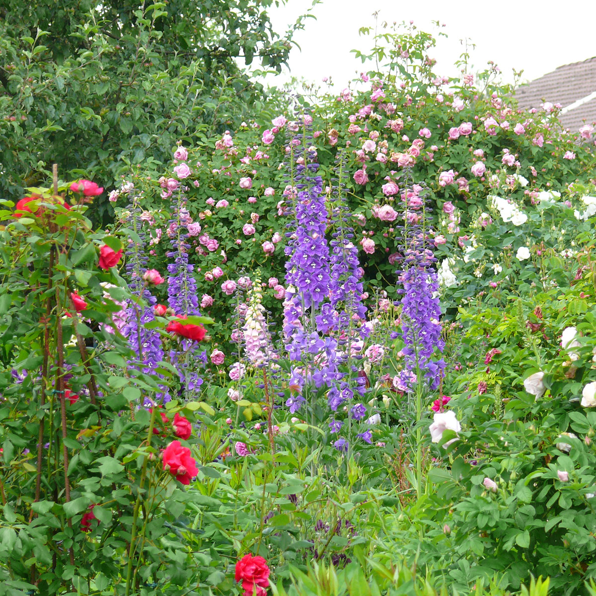10 Cottage Garten Ideen voller Romantik und Natürlichkeit - Zirol