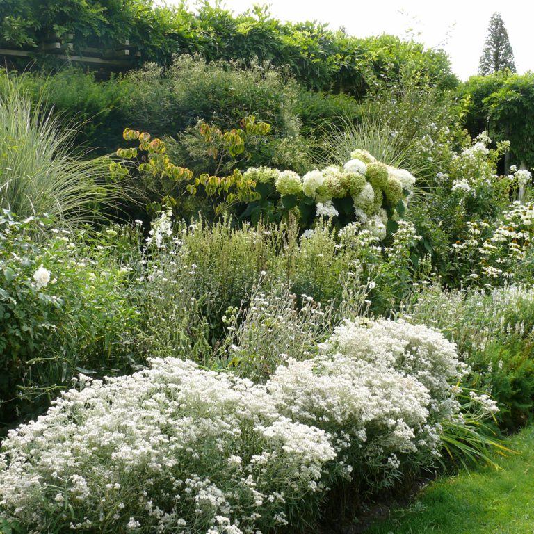 10 Cottage Garten Ideen voller Romantik und Natürlichkeit - Zirol